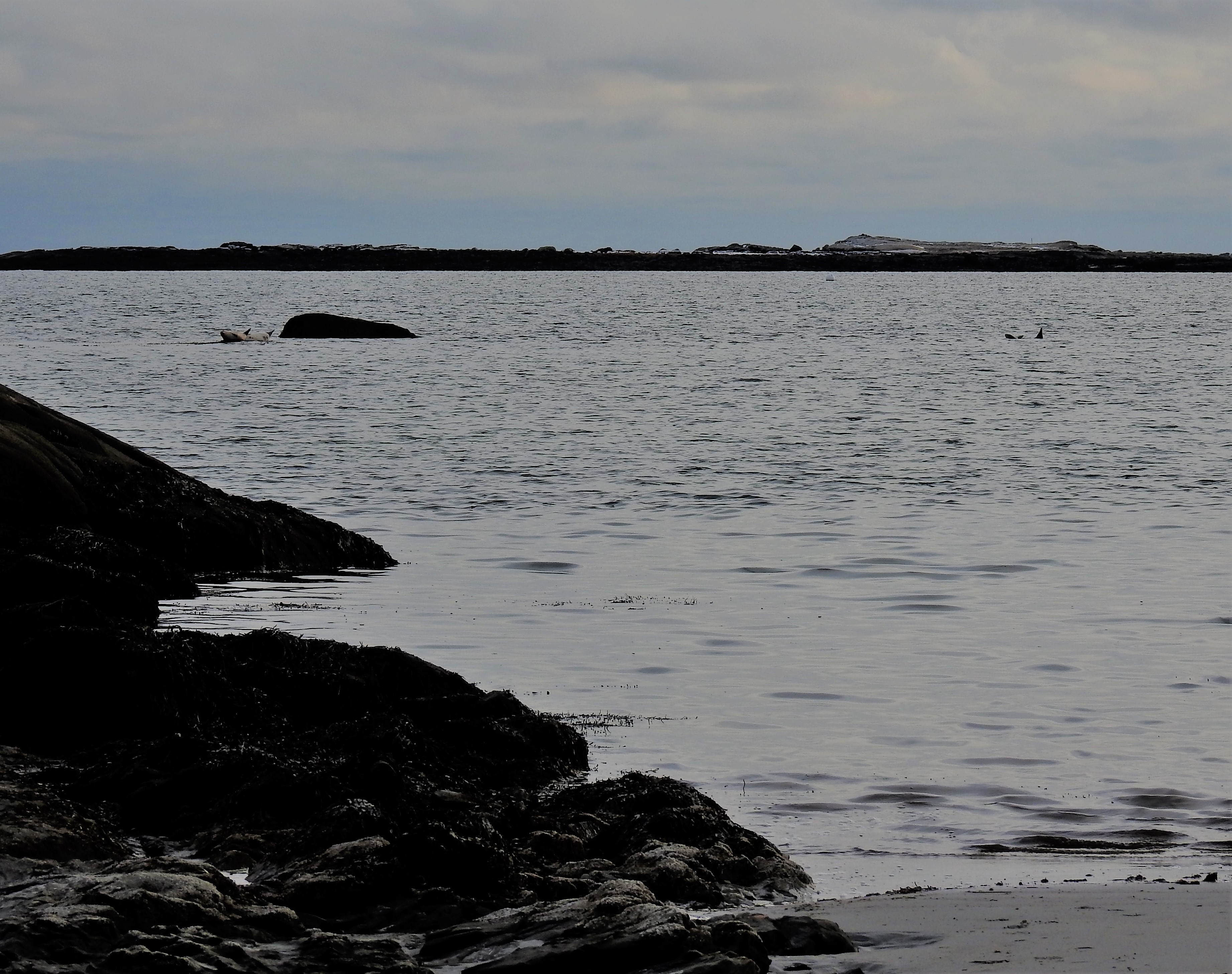 Goose Rocks Beach, Kennebunkport – The Nature of Maine